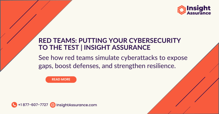 Red Teams: Putting Your Cybersecurity to the Test | Insight Assurance